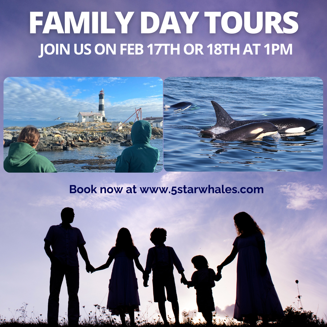 Family Day Tours This Weekend | Five Star Whale Watching