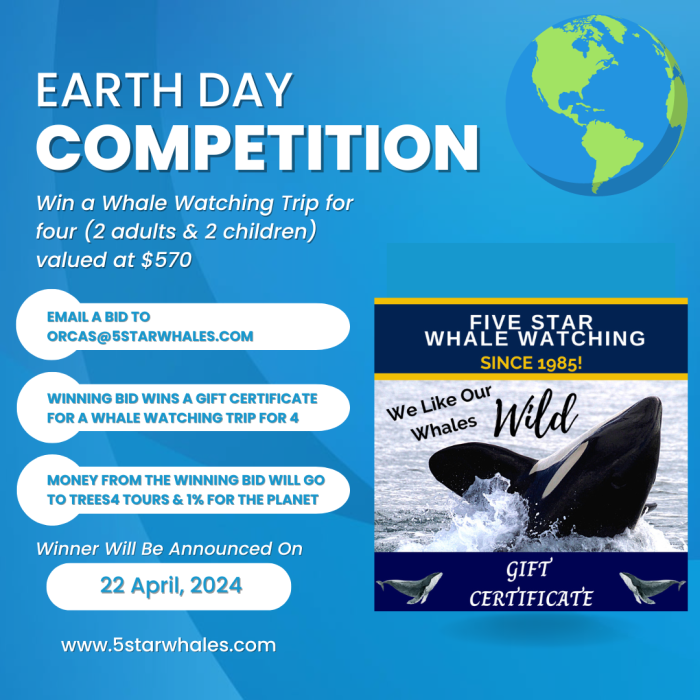 Earth Day Competition | Five Star Whale Watching